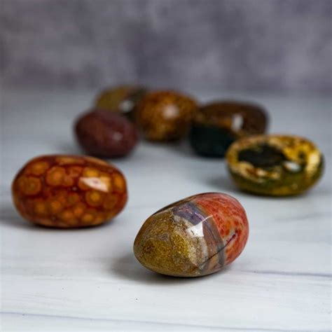 Ocean Jasper Palm Stones The Crystal Apothecary Co