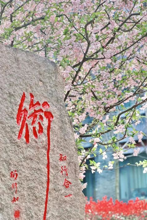 2024夏令营 南京大学教育研究院·陶行知教师教育学院 2024年全国优秀大学生夏令营活动公告