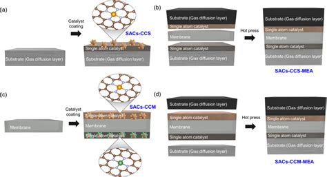 A Schematic Of Synthesis Process Of The Pt Ru Dimer Sacs Using Ald Download Scientific