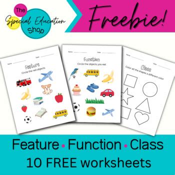 Special Education ABA Feature Function Class Activity LRFFC Nouns VB MAPP