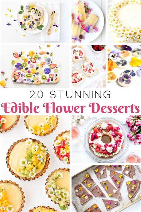 10 Best Tasting Edible Flowers For Your Next Recipe Ruaue