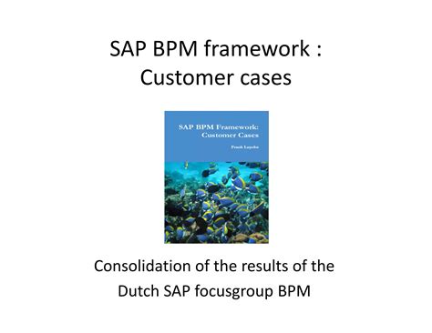 History Sap Bpm Framework Pdf Business Administration Business