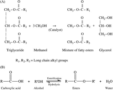 5 A Transesterification Reaction In A Biodiesel Production Process Download Scientific