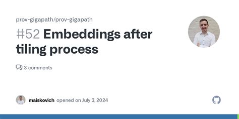 Embeddings After Tiling Process · Issue 52 · Prov Gigapathprov Gigapath · Github
