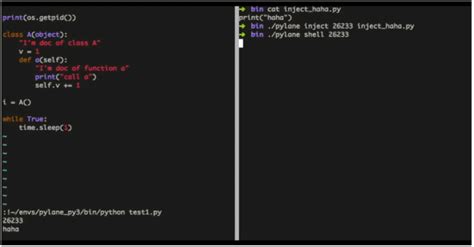 Pylane An Python Vm Injector With Debug Tools Based On Gdb