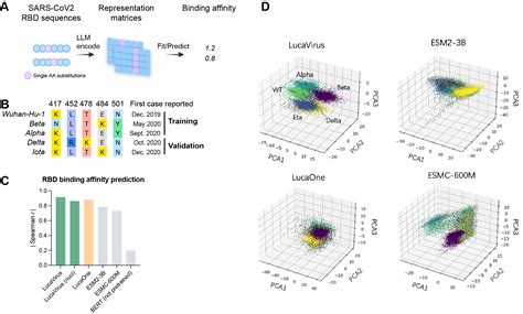 Github Lucaonelucavirus Lucavirus Modeling The Evolutionary And