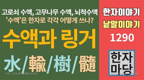 한자이야기 1290 수액과 링거 고로쇠수액 고무나무수액 뇌척수액의 수액은 한자로 어떻게 다른가 Youtube