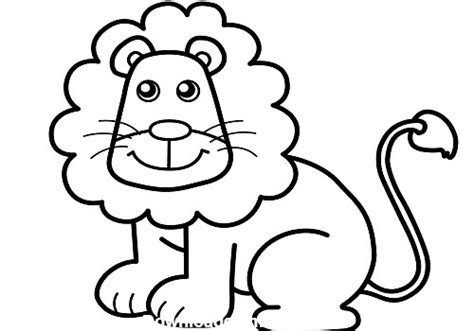 عکس ژست حیوانات