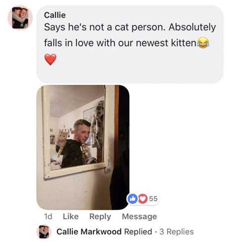 Cats On Catnip Fans Share The Stories Of How One Of Their Family Members Got Converted Into A