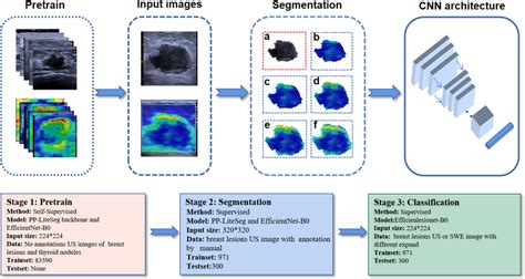 The Process Of Model Pretraining And Segmentation Network Construction Download Scientific