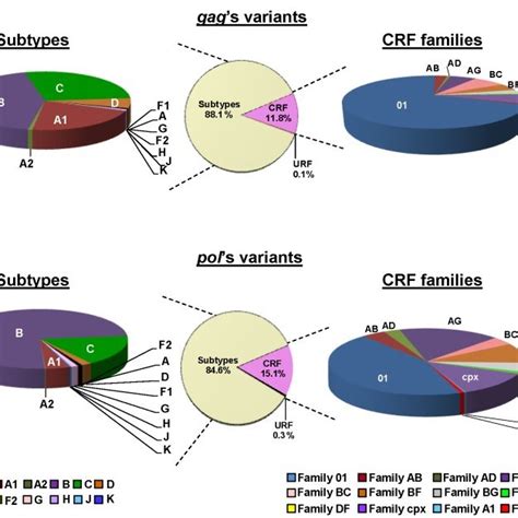 Gag And Pol Hiv 1 Proteins Numbered In Hxb2 Genome Download Table