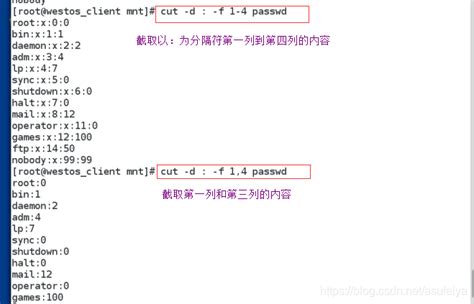 shell基本命令以及正则表达式 sh└ ┐ ┌ ┘ 中合 csdn博客