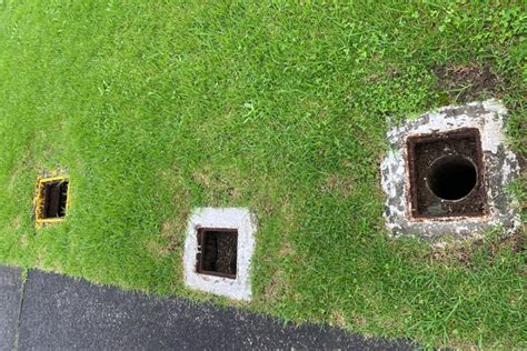 Sunlive Missing Fire Hydrant Lids Stumps Wbop Council The Bays