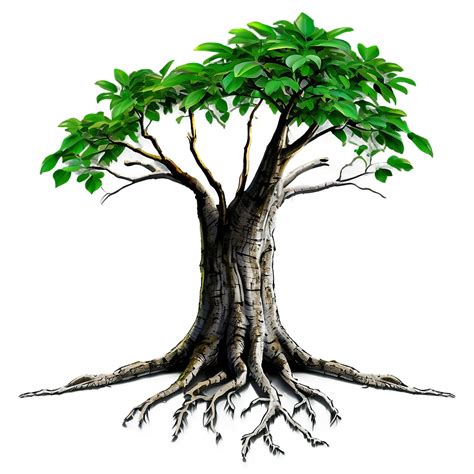 Download Tree With Roots C