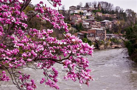 Giorgi Nikolava Giorgi Nikolava Photography