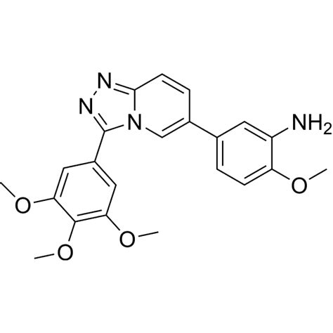 Tubulin Polymerization In 11 Cas 2470063 59 1 Abmole Bioscience