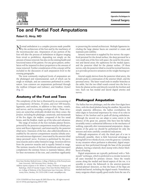 Toe And Partial Foot Amputations Pdf