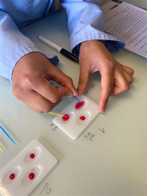 Activité Groupage Sanguin Pour Les 1ères Laboratoire Kerustum