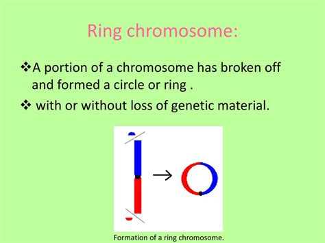 Ring Chromosome