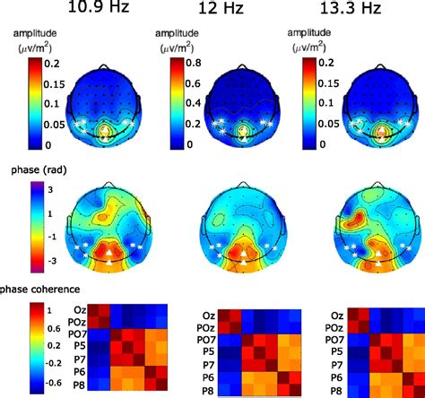 Attentional Enhancement Of Tracked Stimuli In Early Visual Cortex Has Limited Capacity Journal