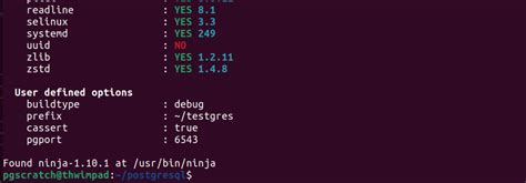 how to build a postgresql patch test environment on ubuntu 22 04