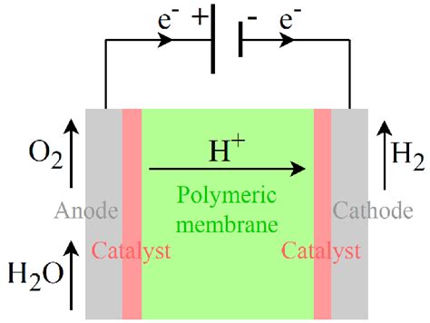 Simplified Pem Electrolysis Cell Download Scientific Diagram