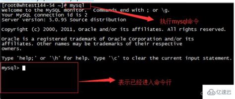 Mysql安装常见报错怎么处理 • Worktile社区