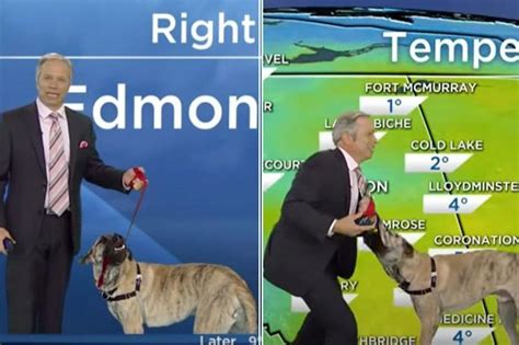 These Funny Anchor Bloopers Will Make You See Them Differently Page 3