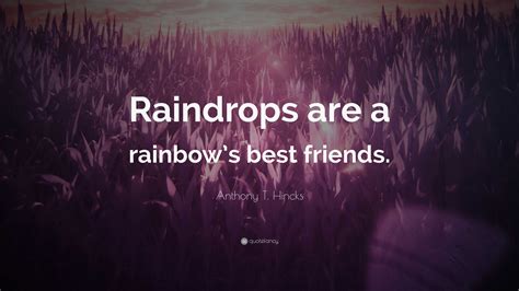 Anthony T Hincks Quote “raindrops Are A Rainbows Best Friends ”