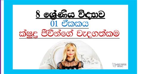 Grade 08 Science Unit 01 Importance Of Microorganisms