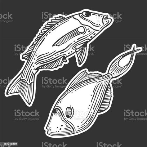 물고기 낙서 및 스케치 스타일의 벡터 개념입니다 티셔츠 엽서에 인쇄하기 위한 손으로 그린 일러스트레이션 T 셔츠에 대한 스톡 벡터 아트 및 기타 이미지 Istock