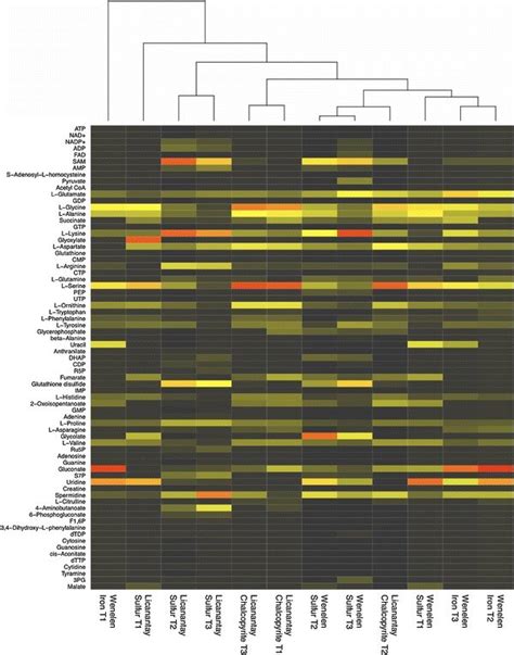 Heatmap Of Metabolites Detected In Each Experiment Each Matrix Column Download Scientific
