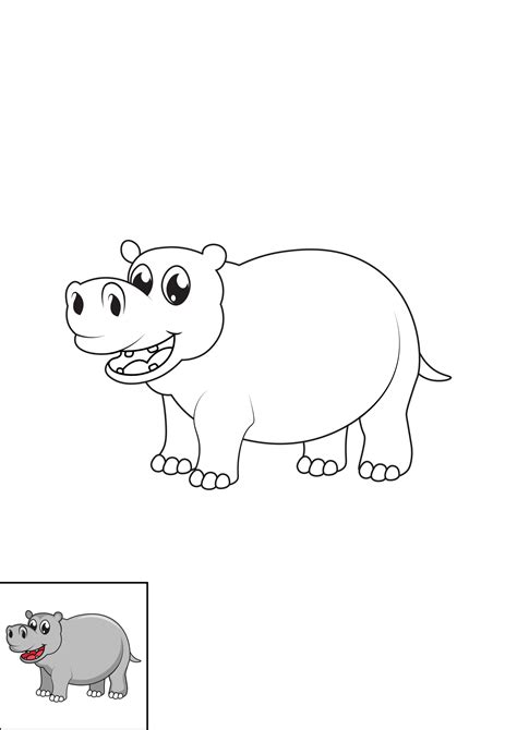 How To Draw A Hippo Step By Step