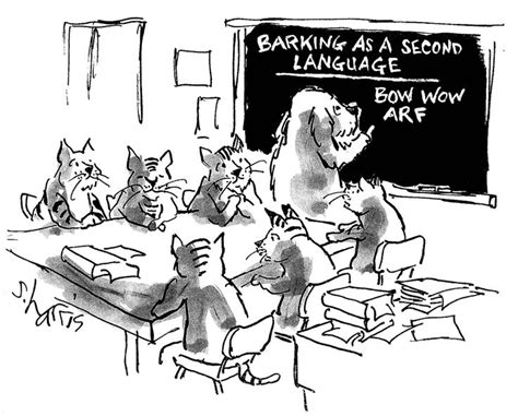 Court Interpreter Training Continuing Education Second Language Online Courses