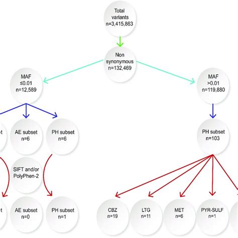 Methodological Scheme For Filtering Genomic Variants In Sjs Ten Patients Download Scientific
