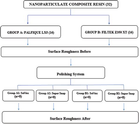 Random Distribution Of Groups According To Sample Size Download Scientific Diagram