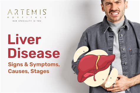 Liver Disease Symptoms Causes Stages And Warning Signs Artemis