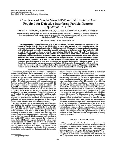 Pdf Complexes Of Sendai Virus Np P And P L Proteins Are Required For Defective Interfering