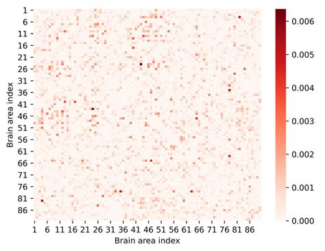 The Importance Of The Features Of The Static Functional Connectivity Download Scientific