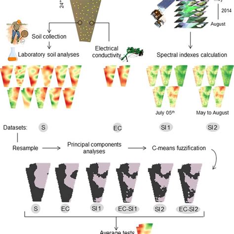 Partition Coefficient Pc And Partition Entropy Pe Per Cluster Download Scientific Diagram