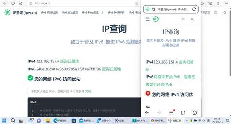 The Wsa Is Already Not Support The Ipv6 Connections When The Wsa Is Supporting The Ipv6