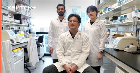 Ученые выяснили как старение нарушает память