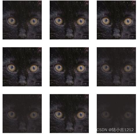 365天深度学习训练营 第t10周：数据增强365天深度学习训练营 中的学习记录博客 Csdn博客