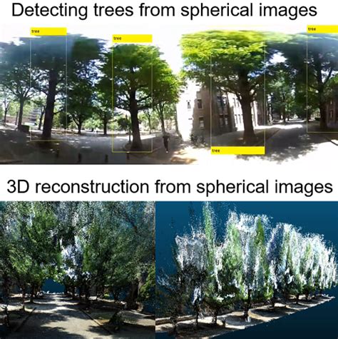 remote sensing free full text automatic tree detection from three