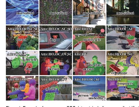 Figure 1 From Salient Objects In Clutter Semantic Scholar