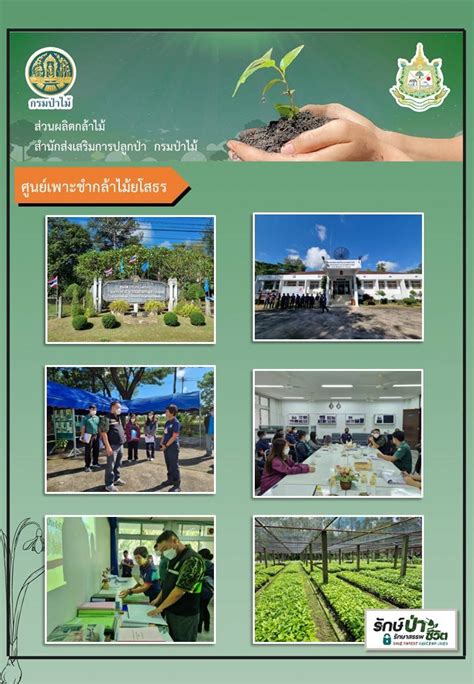 ติดตามผลการปฏิบัติงานเพาะชำกล้าไม้ ประจำปีงบประมาณ พ ศ 2565 ท้องที่จังหวัดยโสธร ร้อยเอ็ด