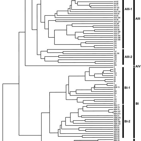 Upgma Cluster Analysis Of Aflp Data Generated By Eight Primer