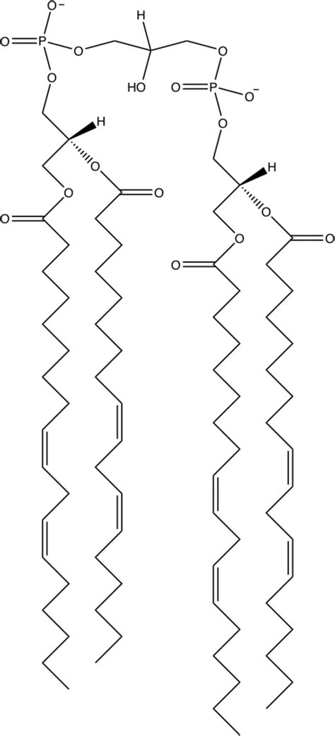 Structure Of Mature Cardiolipin Cardiolipin Is A Unique Anionic