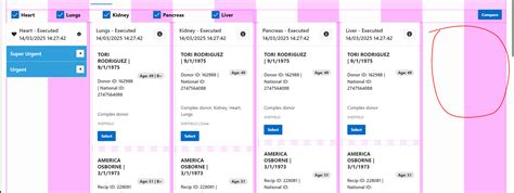 Css Span Five Side By Side Regions Equally In Oracle Apex Stack