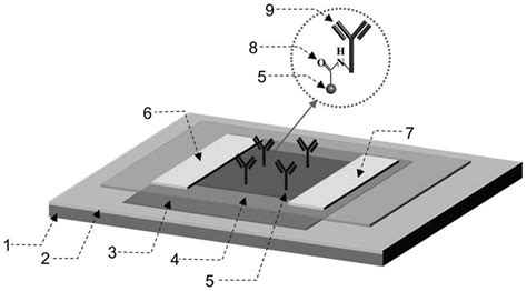 Biosensor Based On Graphene Field Effect Transistor And Preparation Method And Application